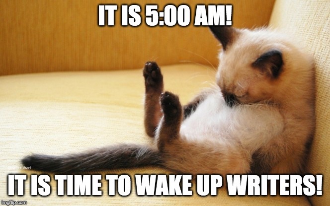 5AM Writers Club Memes! – WORDSONTHEPAGE